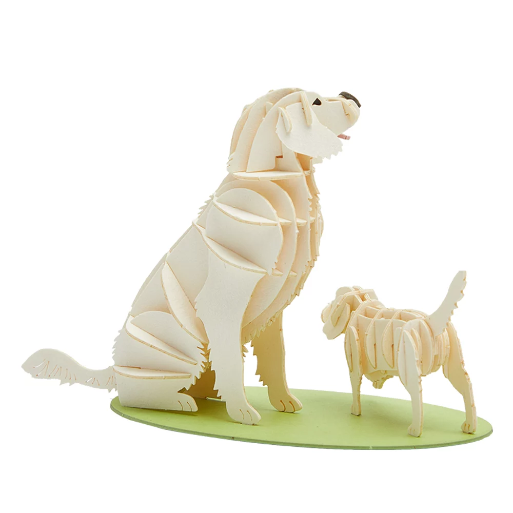 Golden blanco - Señor Castor